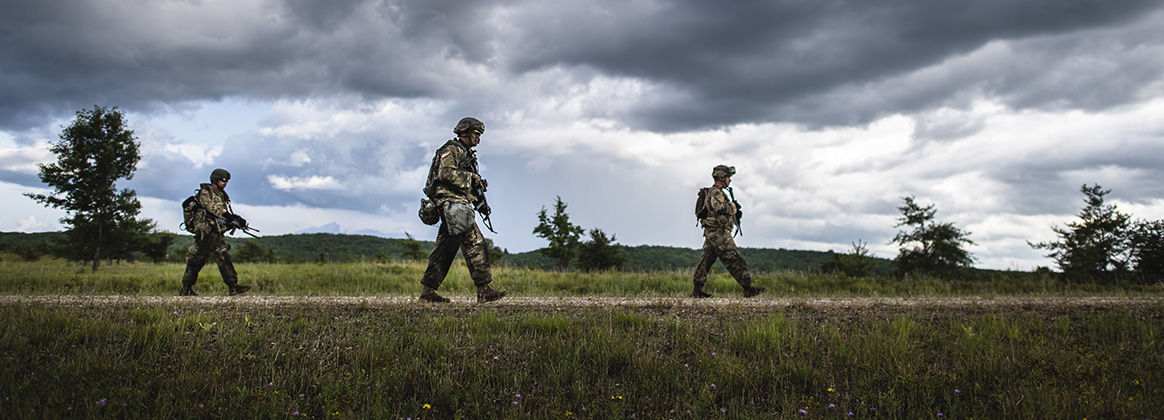 Michigan National Guard > About Us > Northern Strike